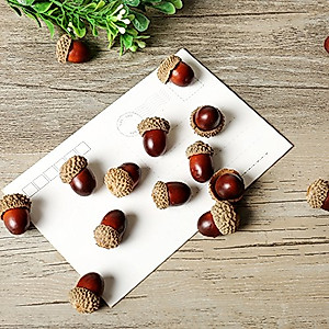 MyGift 100 Pieces Brown Assorted Artificial Acorn Caps, Autumn Vase Filler Decorations