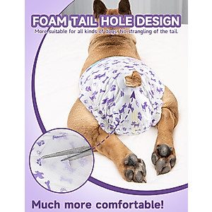 MICOOYO Disposable Dog Diapers Female, Doggie Diapers for Dogs Female, Super Absorbent Pet Diapers Foam Tail Hole Female Dog Diapers for Heat, Comfortable Puppy Diapers (Small Plus, 50Count)