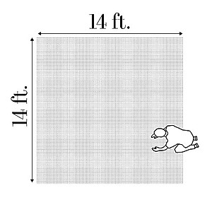 Dalen Bird X Protective Mesh Netting - Keep Birds and Pests Away from Your Garden – Non Toxic - Made in The USA - 14' x 14'