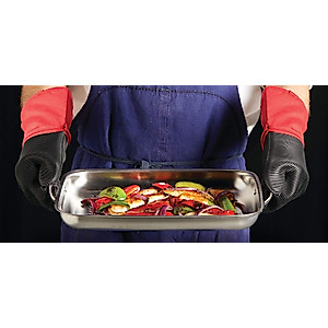 All-Clad Outdoor Stainless Steel Roaster 15x11 Inch Oven Broiler Safe 700F Roaster Pan, Pots and Pans, Cookware Silver