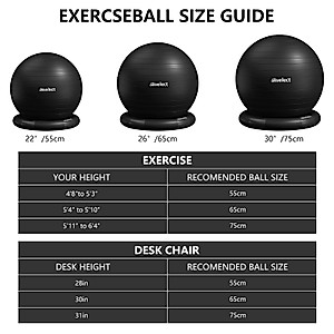 HBselect Exercise Ball Chair &Anti-Slip Stability Base & Resistance Bands, Extra Thick Anti Burst Swiss Gym Ball for Yoga, Pilates, Birthing Pregnancy