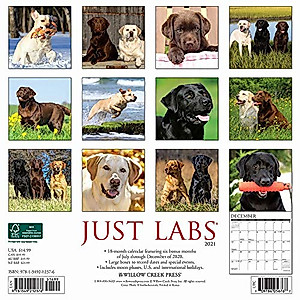 Just Labs 2021 Wall Calendar (Dog Breed Calendar)
