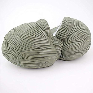 Teaching Model, 10 Scientific Human Anatomy - Human Cerebellum Structural Anatomical Model - Cerebellar Lobular Nucleus Human Brain Anatomical Nervous System Medical Education Aid Anatomy Biology