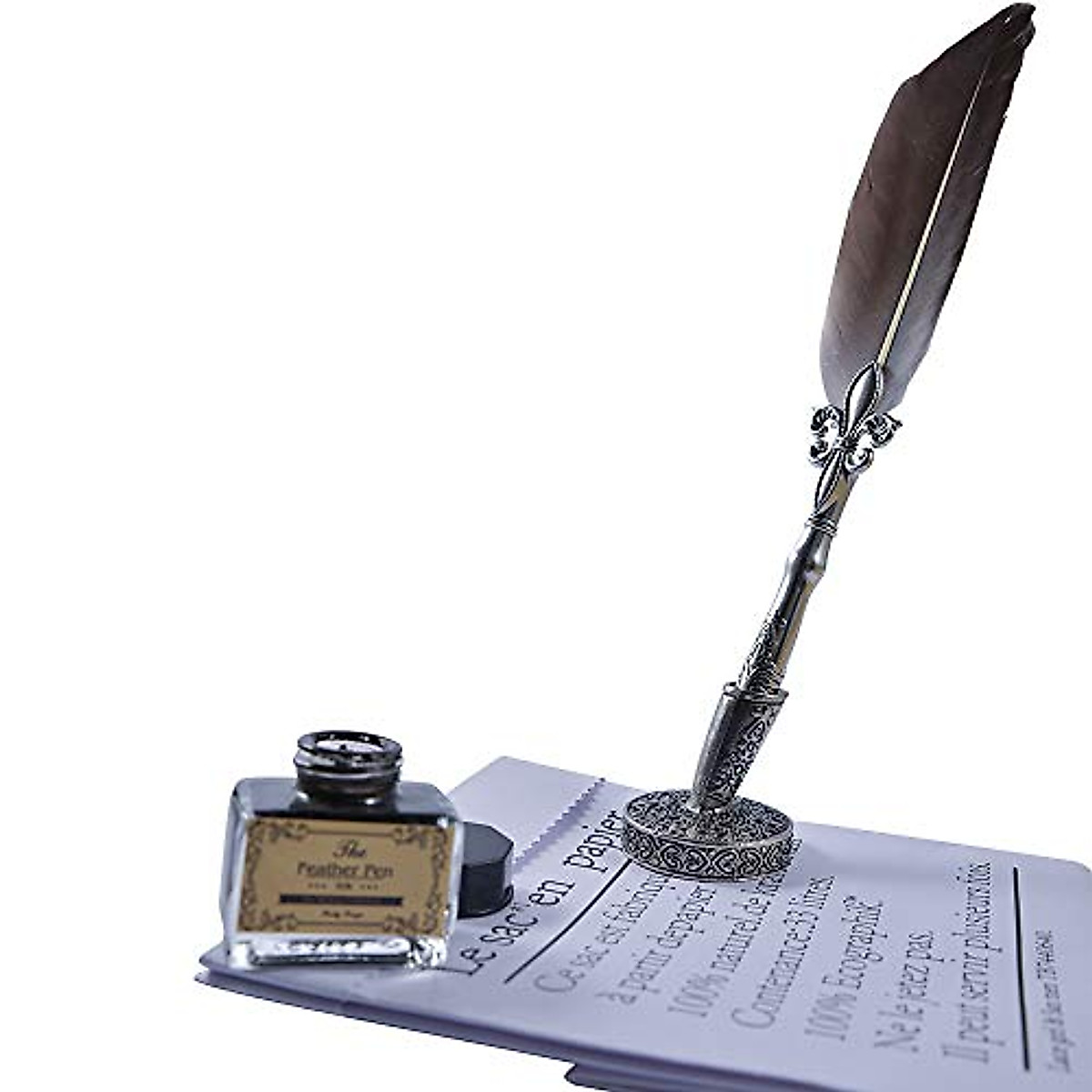 AIVN Calligraphy Pen - Antique Feather Quill with 17 nibs - Writing Case with Black Ink