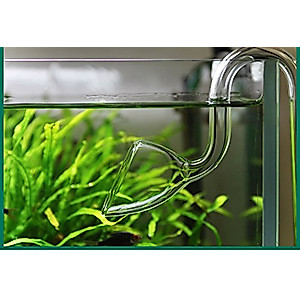JARDLI Glass Lily Pipe Outflow for Aquarium Planted Tank (10mm for 9/12mm (3/8" ID) tubing)