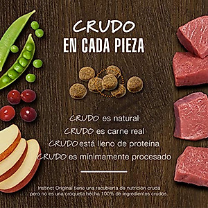 Instinct Dog Food, Grain Free Dog Food Dry, High Protein, Raw Coated Dog Food, Dog Kibble, Original Real Beef, 20 lb. Bag