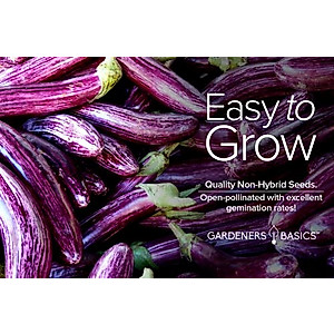 Eggplant Seeds for Planting - (Long Purple) is A Great Heirloom, Non-GMO Vegetable Variety- 500 mg Seeds Great for Outdoor Spring, Winter and Fall Gardening by Gardeners Basics