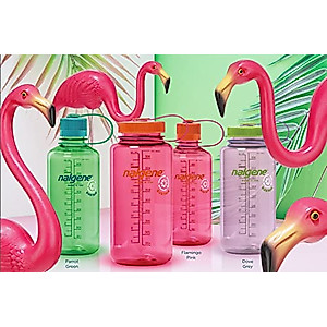 Nalgene Sustain Tritan BPA-Free Water Bottle Made with Material Derived from 50% Plastic Waste, 32 OZ, Wide Mouth, Parrott Green