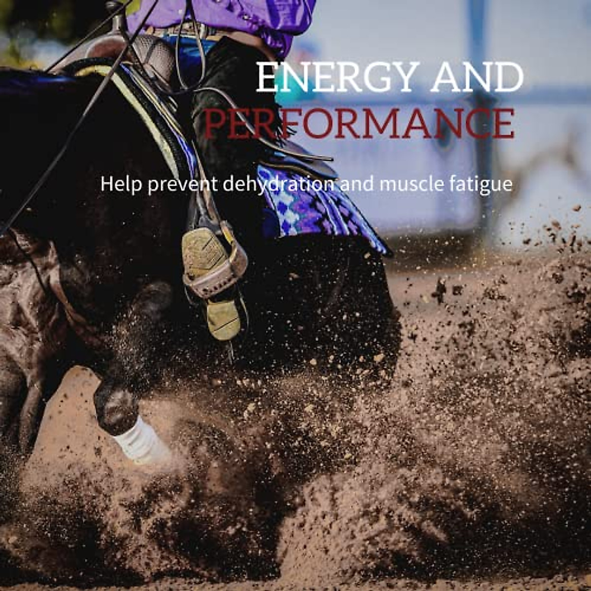 Redmond Equine Electrolyte Paste | Electrolytes Supplement for Horses
