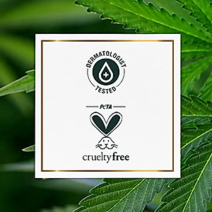 Herbal Essences bio:renew Sulfate Free Hemp + Potent Aloe Shampoo and Conditioner Set, 20.2 Fl Oz Each — Nourishes Dry Hair for Frizz Control, Paraben and Cruelty Free — Safe for Color Treated Hair