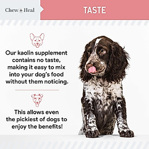 Chew + Heal Labs Anti Diarrhea for Dogs - 12 oz. of Stop The Diarrhea Liquid Supplement with Kaolin - for Diarrhea and Upset Stomach Relief - Made in The USA