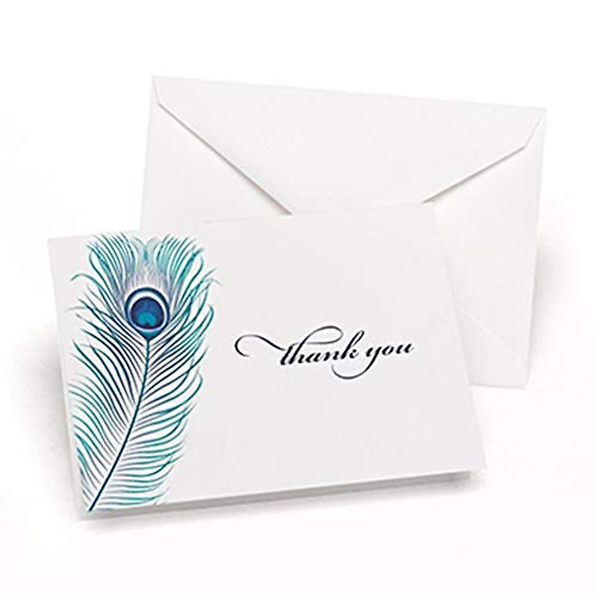 Hortense B. Hewitt 50-Count Peacock Feather Thank You Note Cards