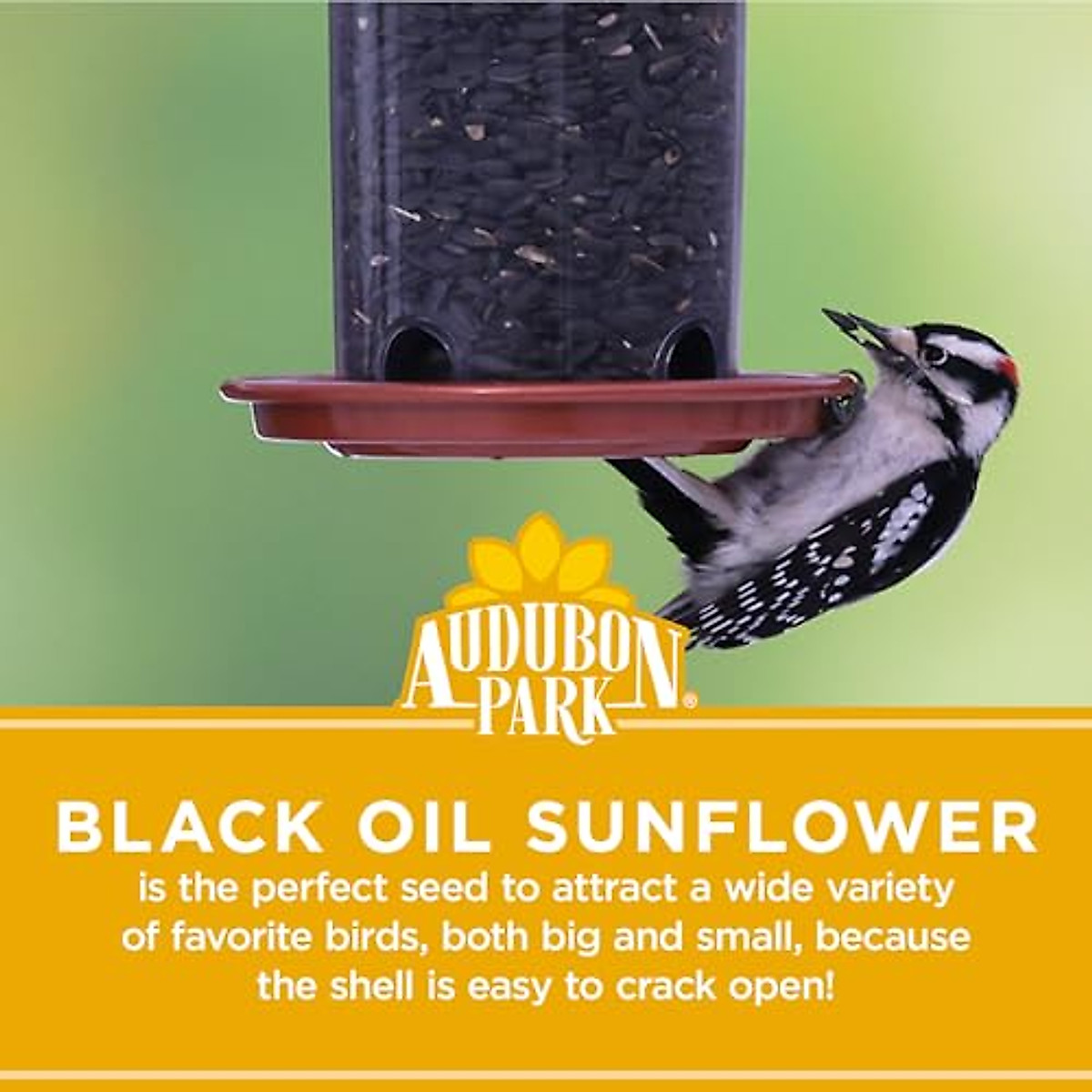 Audubon Park 10427 11286 Black Oil Sunflower Seed Wild Bird Food, 20 lb