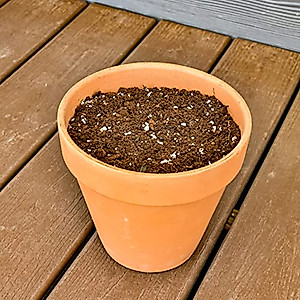 Anthurium Plant Potting Soil Mix (4 Quarts), Indoor Houseplant Custom Blend for Flowering Anthuriums