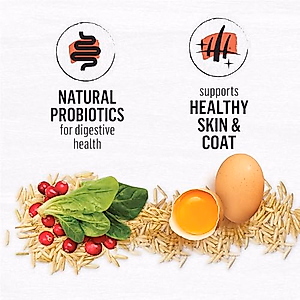 Purina Beyond Natural Wholesome Ingredients for Whole Health Dry Cat Food Salmon and Whole Brown Rice Recipe - 6 lb. Bag