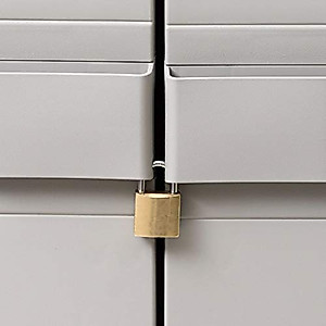 WooDlan Garden Storage Shed Outdoor Storage Cabinet Indoor Storage Utility Cabinet with 4 Shelves Black and Gray