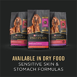 Purina Pro Plan Sensitive Skin and Stomach Dog Food Pate Salmon and Rice and Lamb and Oat Meal Wet Dog Food Variety Pack - (Pack of 12) 13 oz. Cans