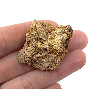 Raw Talc, Mineral Specimen - Approx. 1" - Geologist Selected & Hand Processed - Great for Science Classrooms - Eisco Labs