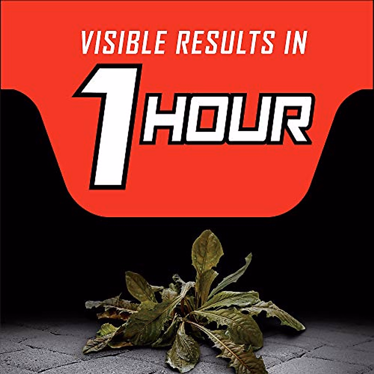 Ortho GroundClear Year Long Vegetation Killer - With Continuous Spray Comfort Wand, Visible Results in 1 Hour, Kills Weeds and Grasses to the Root, Up to 1 Year of Weed and Grass Control, 1.33 gal.