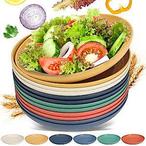 SGAOFIEE 12 PACK 10 Inch Lightweight Wheat Straw Plates, Microwave and Dishwasher Safe BPA Free and Healthy Wheat Straw Plates, Unbreakable Deep Dinner Plates