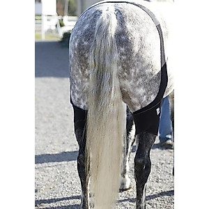 Ice Horse Pony Size Pair Stifle Wrap for Equine Therapy - Comes with 4 Ice Packs