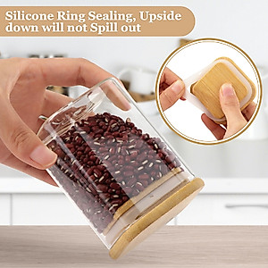 QLoztyse Glass Jars with Bamboo Lids - 9oz Glass Canisters with Airtight Lids Clear Pantry Storage Containers Small Square Glass Canister Set for Kitchen Spice (Set Of 10)