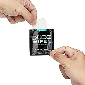 DUDE Wipes On-The-Go Flushable Wet Wipes - 1 Pack, 30 Wipes - Mint Chill Extra-Large Individually Wrapped Wipes with Eucalyptus & Tea Tree Oil - Septic and Sewer Safe