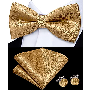 Dubulle Gold Bow Tie Lapel Pin Set for Men Mens Solid Gold Pretied Bowties Handkerchief Cufflinks