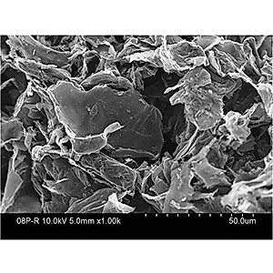 Angstron Materials N008-P-40 Graphene Powder, 10 g