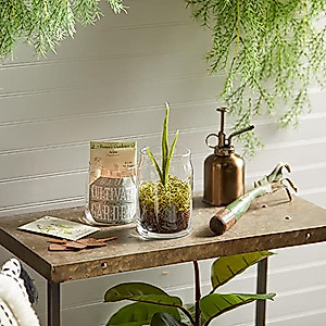 Yankee Candle Balsam & Cedar Scented, Signature 13oz Medium Jar 2-Wick Candle, Over 35 Hours of Burn Time, Christmas | Holiday Candle