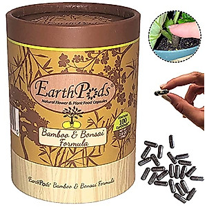 EarthPods (Premium) Organic Fertilizer Spikes for Bamboo & Bonsai - 100 Count - Made in USA