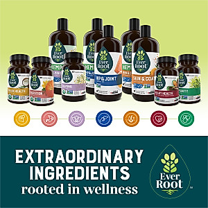 EverRoot Dog Heart Supplements Heart Health Chewable Tablets with Taurine and Green-Lipped Mussels - 4.02 oz. Canister