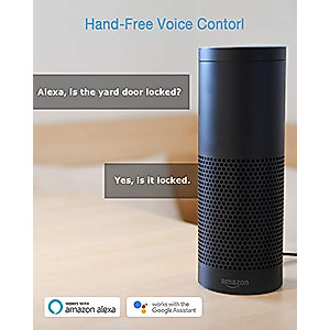 Smart Door Sensor 2 Pack, TESSAN WiFi Window Contact Sensor Work with Amazon Alexa, Google Assistant, No Hub Required, Trigger Phone Notification, Phone Alarm, Programmable with Smart Life Devices