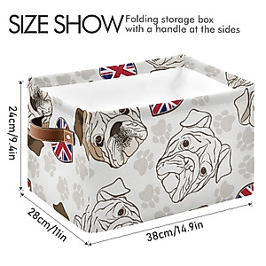 susiyo Large Foldable Storage Bin English Bulldog Fabric Storage Baskets Collapsible Decorative Baskets Organizing Basket Bin with PU Handles for Shelves Home Closet Bedroom Living Room-1Pack
