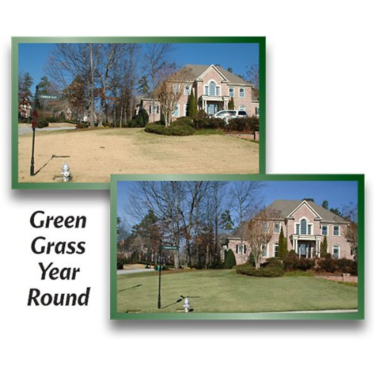 EnviroColor 4EG0032 851612002100 (1,000 Sq.Ft) 4Evergreen Grass & Turf Paint, Green