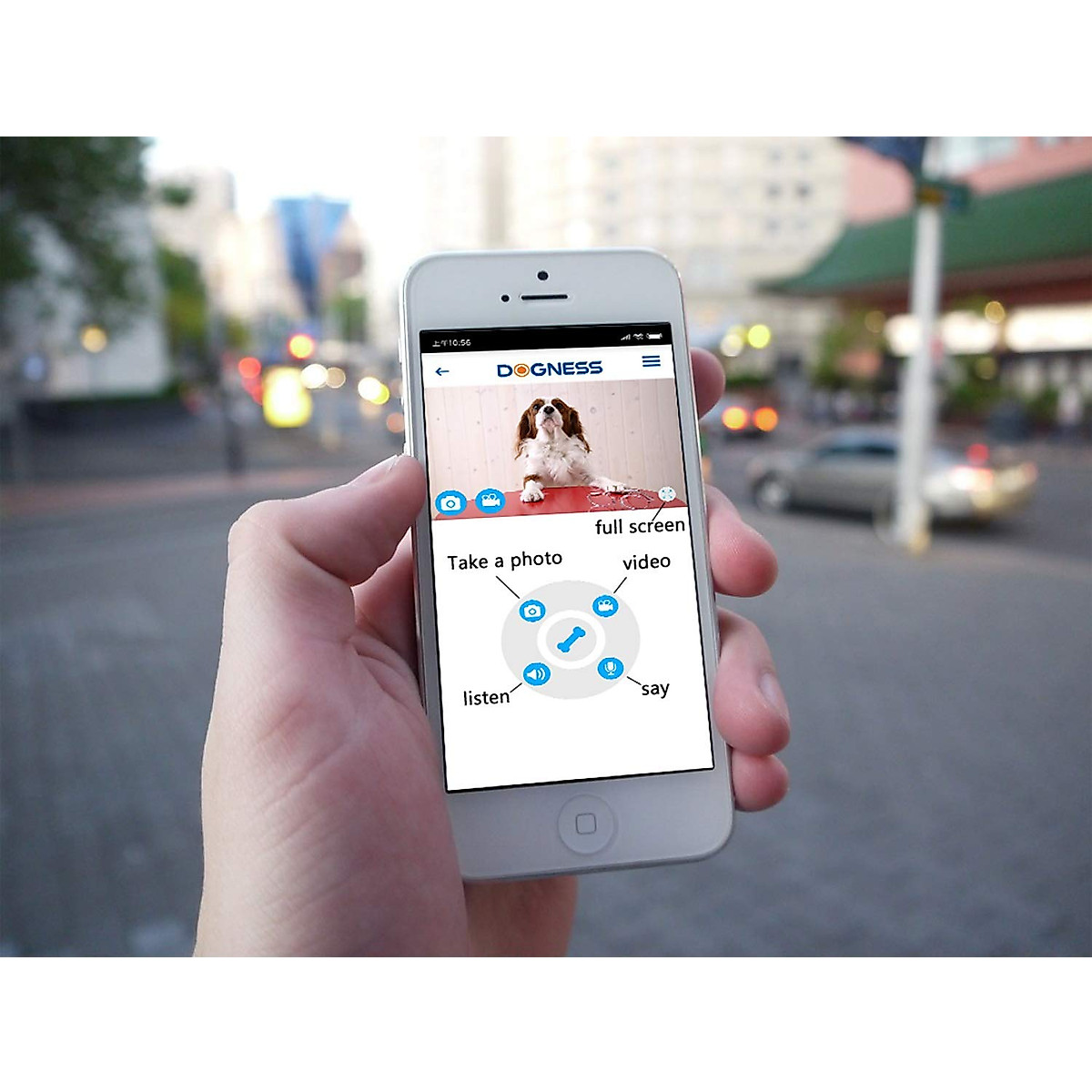 DOGNESS Wi-Fi Pet Camera with Treat Dispenser for Dogs and Cats. 1080P HD Video, 165° Full-Room View, 2-Way Audio, Sound/Motion Alerts, Night Vision, Pet Monitor, White