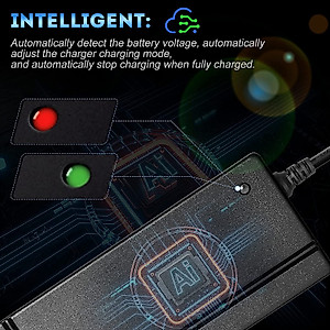 42V 2A Battery Charger, Power Supply Adapter 36V Battery Adapter Charger Automotive Battery Charger, Sports Lithium Battery Maintainer