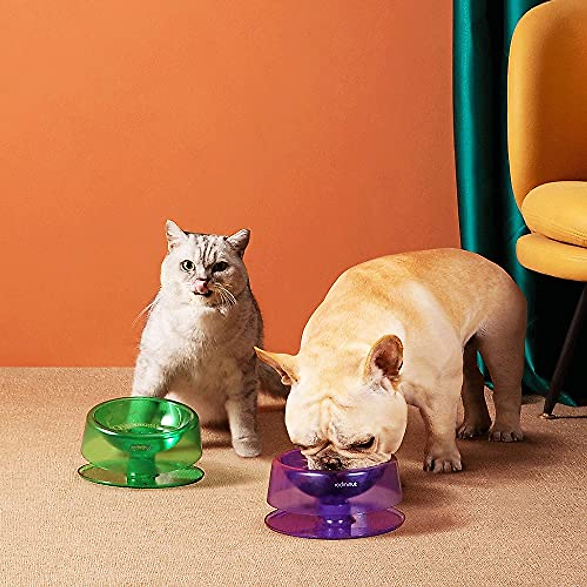 FUUIE Bowls for Food and Water Pet Bowl for Cat and Dog Adjustable Angel Cat Bowl Dog Bowl with Non-Slip Feeder for Cats and Dogs Kitten and Puppy Pet Products (Color : Blue)