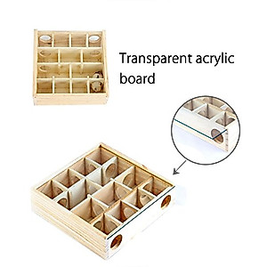 Hypeety Wooden Maze Tunnel Toy with Glass Cover, Small Pet Animals Activity Sport Gerbil Labyrinth Dwarf Hamster Play Toys Maze Tunnel Mice Wooden Funny Toy