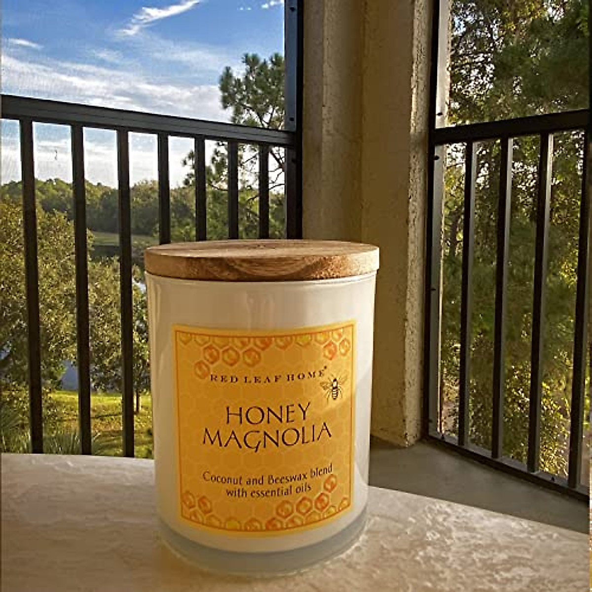 Red Leaf Home | Honey Magnolia Candle, Large | Honeycomb Collection, Aromatherapy, Gift | 15.5oz Jar