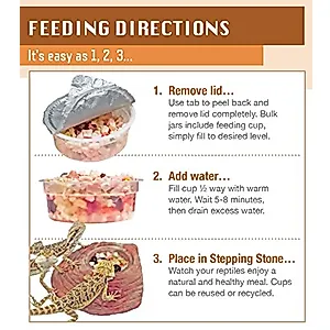 Healthy Herp Box Turtle Food Instant Meal 5.07-Ounce (143.73 Grams) Jar