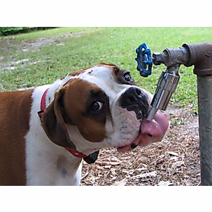 Lixit L100 Water Faucet Automatic Fountain for Dogs and Other Pets. (Pack of 1)