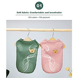 Cat Clothes, KISOLD Pet Cat Clothes Chic Bear Casual T-Shirt Apparel for Cat Kitten Puppy for Spring and Summer, Green, M