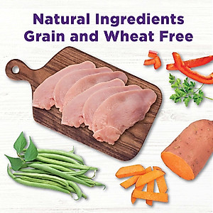 Aurora Pet Variety Pack (6) Wellness Bowl Boosters Hearty Wet Dog Toppers (2) Beef (2) Chicken (2) Turkey (5.5-oz Each) with AuroraPet Wipes