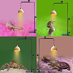 Patioer Reptile Lamp Stand Pet Lamp Bracket Adjustable Metal Floor Light Lamp Holder Lamp Support for Reptile Succulent Plants Glass Terrarium Heating Light, Small Size