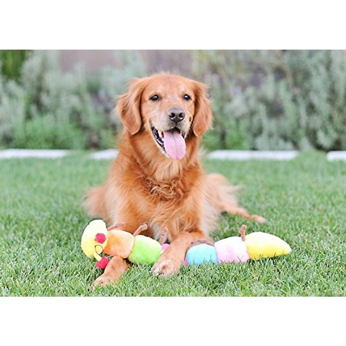 ZippyPaws - Colorful Caterpillar Dog Toy, Rainbow Dog Toy with Squeakers, Plush Dog Toys for Aggressive Chewers, Summer Dog Toys, Rainbow Dog Pride Accessories