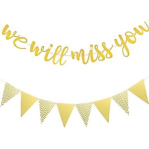 We Will Miss You Banner Gold Glitter Graduation Banner and Triangle Flag Banner for Retirement Farewell Office Going Away Work Party Decorations
