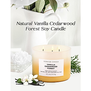 Vanilla Cedarwood Forest Candle - Large 3 Wick Scented Candle - Winter Balsam Fir Candle with Clove & Cedar - Natural Soy Candle for Home 15.8 oz - Aromatherapy Holiday Candle Gift for Women & Men