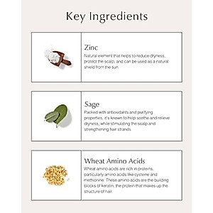 John Masters Zinc & Sage Scalp Conditioning Shampoo, 8 FZ