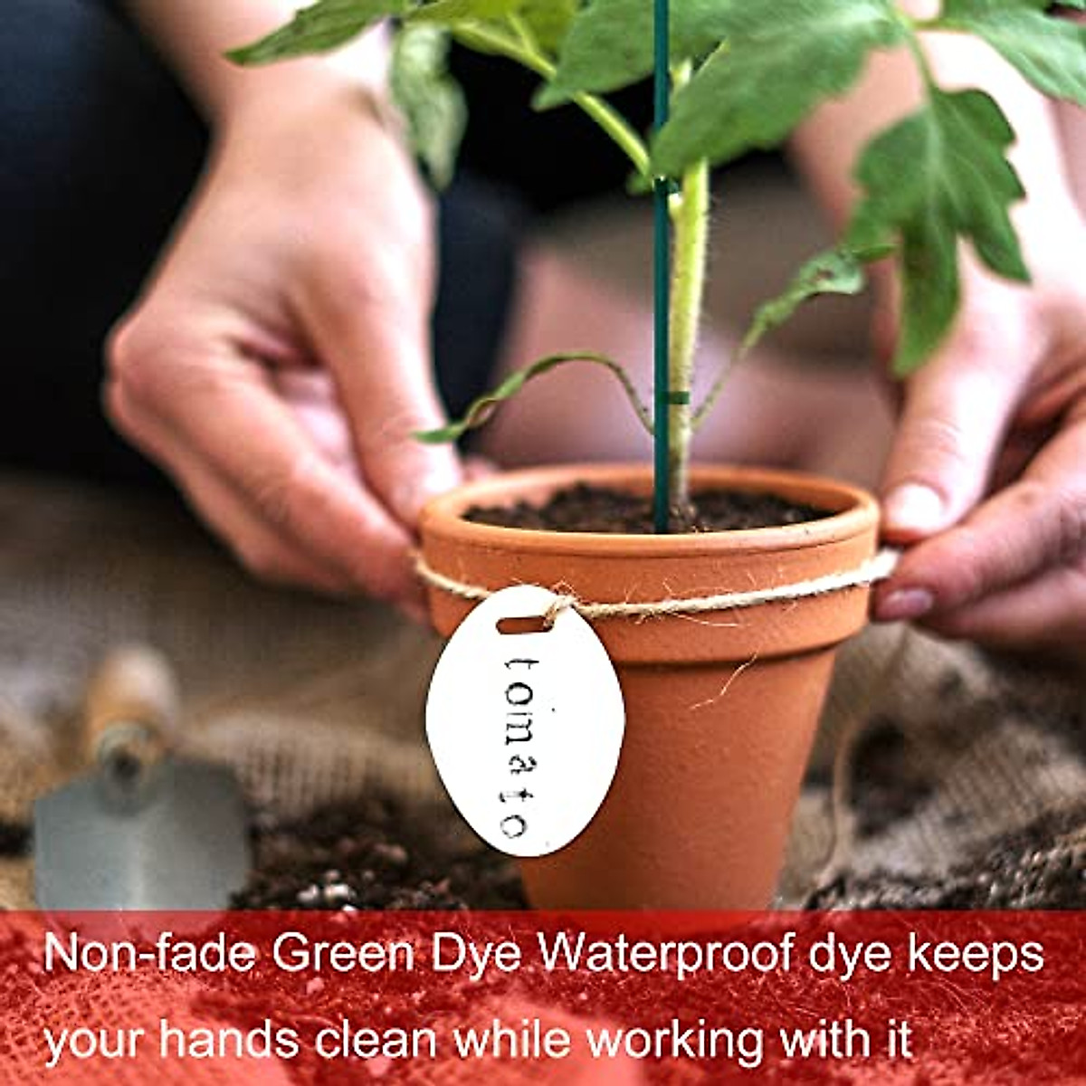 50 PCS 18 inches Plant Sticks Support,Green Bamboo Sticks,Garden Wood Plant Stakes,Floral/Orchid/Tomato Wooden Stakes Plant Support Stakes Wooden,Wooden Sign Posting Garden Sticks, Xgmelon787f